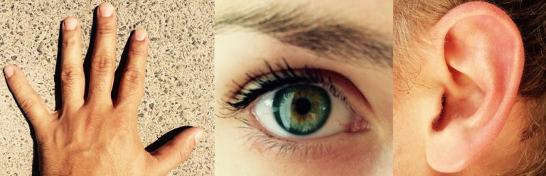 collage-tactile-visual-auditory – MSense Lab, LMU Munich